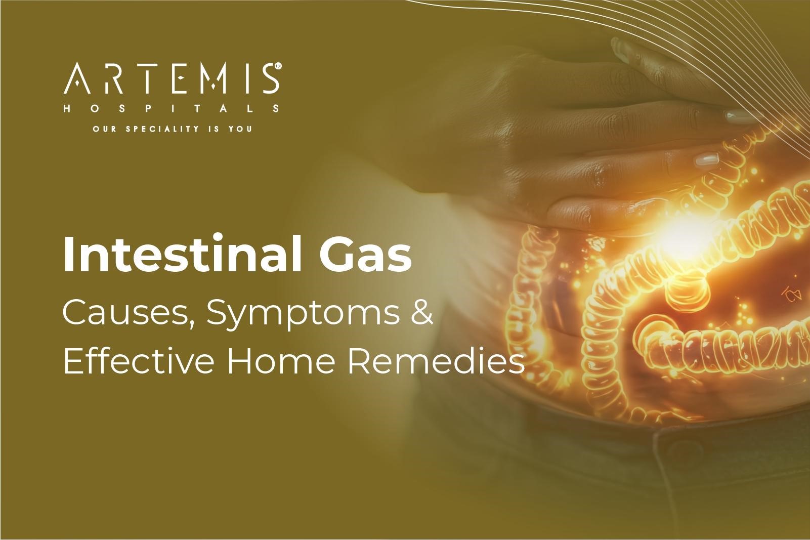 Intestinal Gas: Causes, Symptoms, & Home Remedies For Relief | Artemis ...