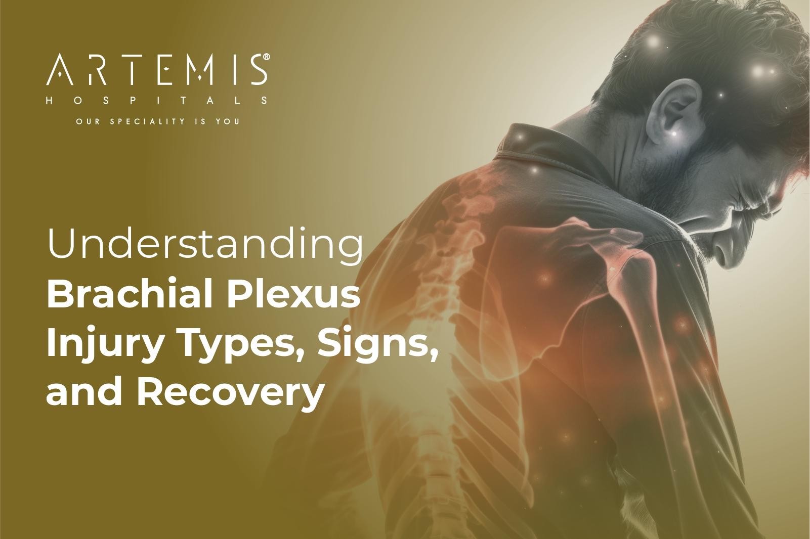 Brachial Plexus Injury: Types, Symptoms, Diagnosis & Recovery Guide ...