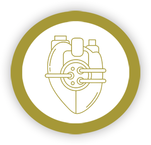 Double Valve Replacement in Gurgaon, Delhi-NCR, India | Artemis Hospitals